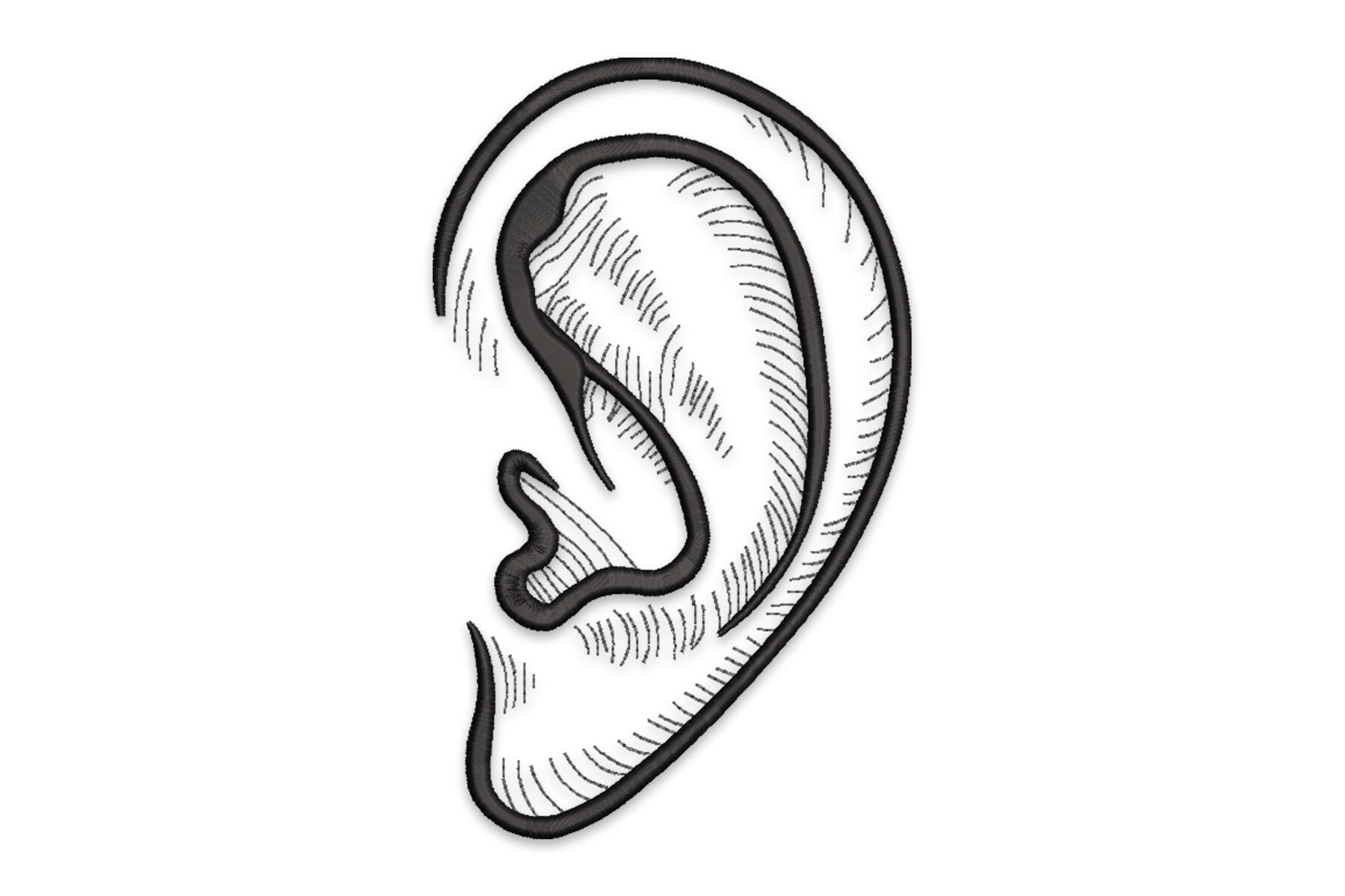 Human Ear Embroidery Design | Anatomical Medical Sketch Machine File ...