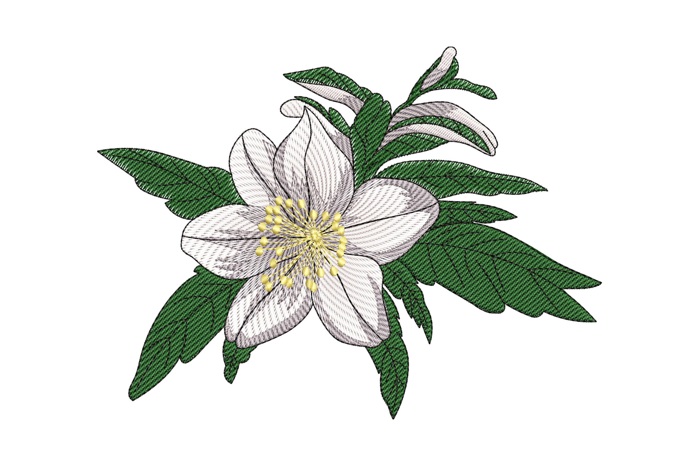 White Garden Bloom – Elegant Floral Machine Embroidery Design | Embroidize